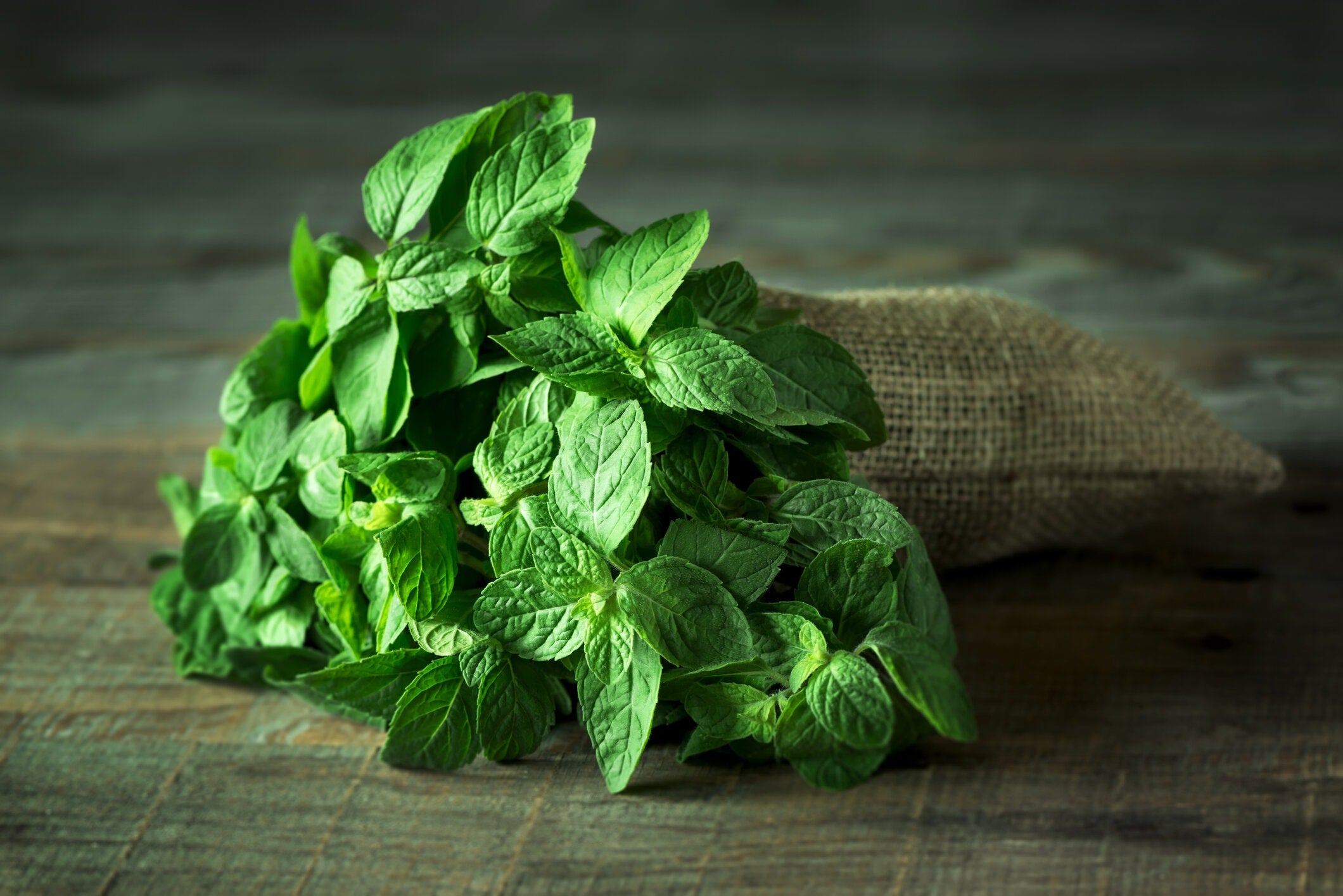 Effects of peppermint scent administration on cognitive video game per ...