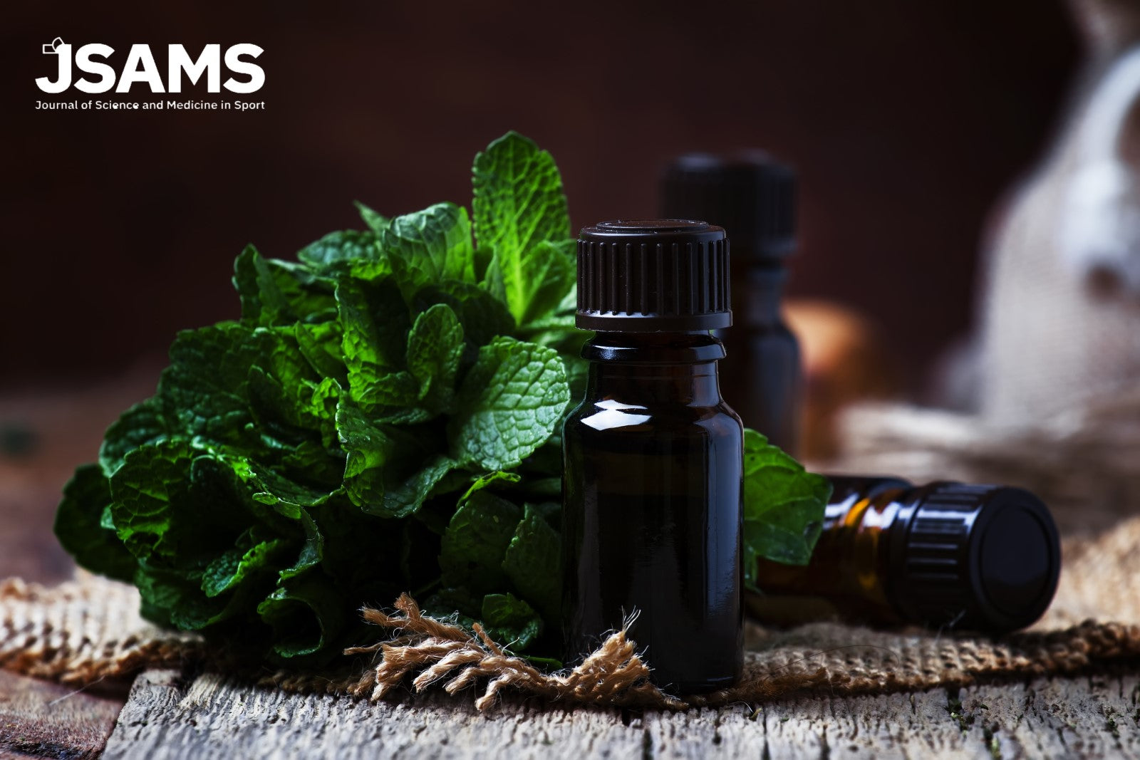 Peppermint's Primary Constituent, Menthol, Improves Exercise Performan ...